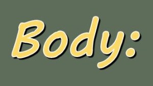 Seaducer Fly Pattern Step-by-Step - The Fat Fingered Fly Tyer