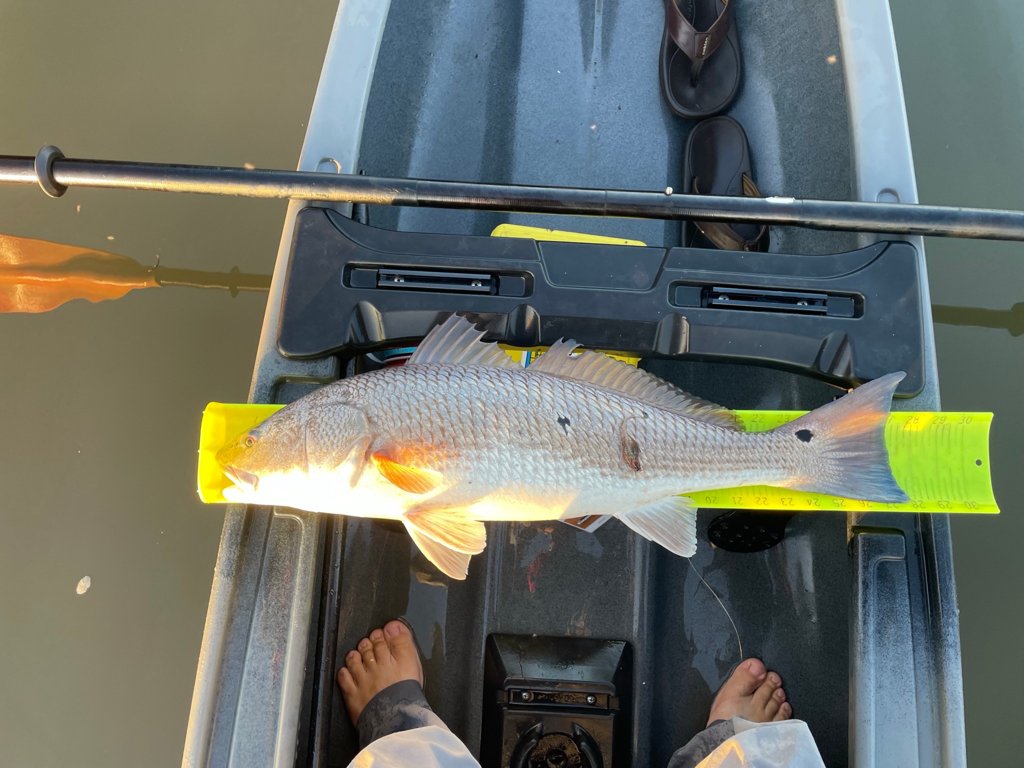 Birthday Redfish - The Fat Fingered Fly Tyer