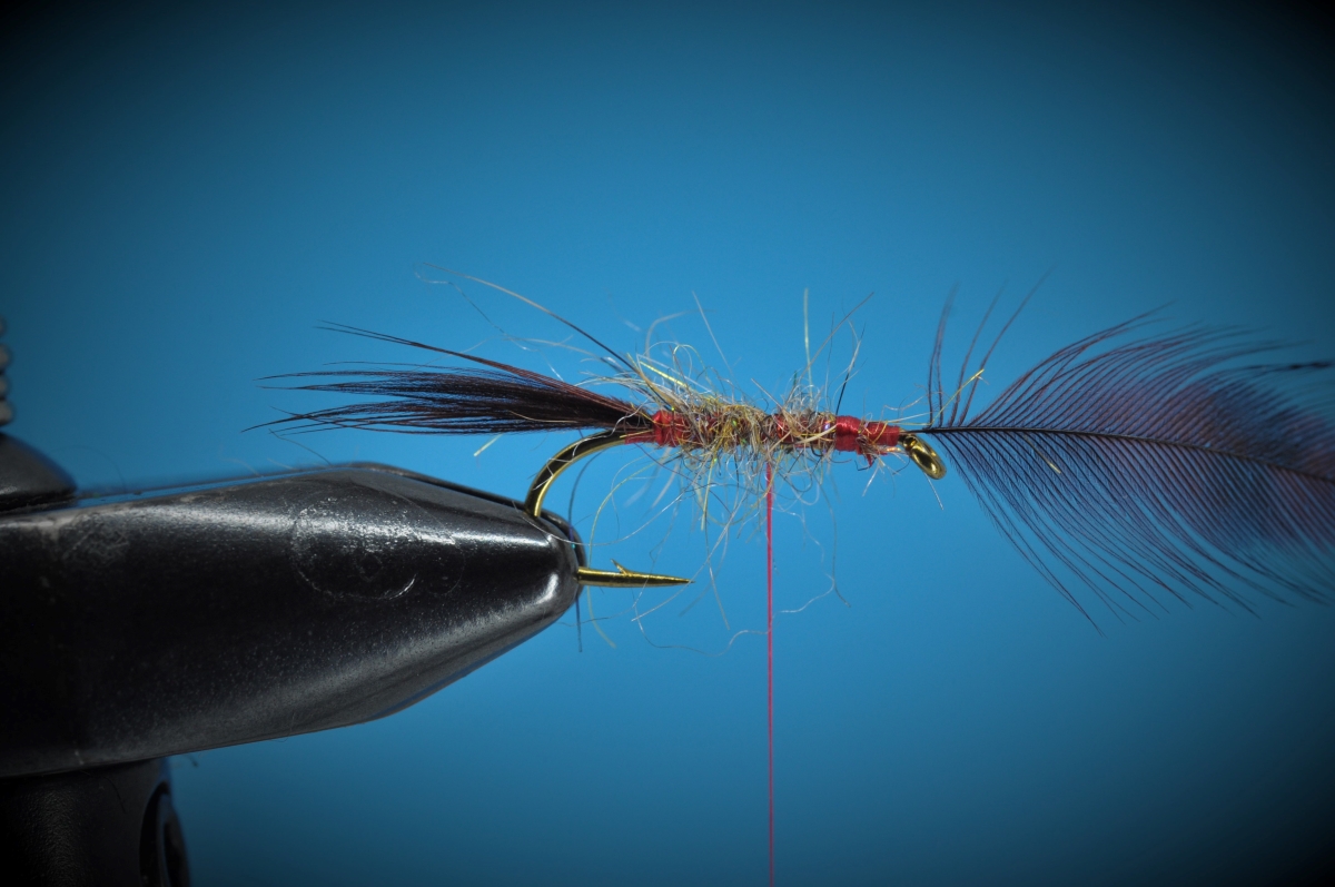 Tying the Flymph Step-by-Step - The Fat Fingered Fly Tyer