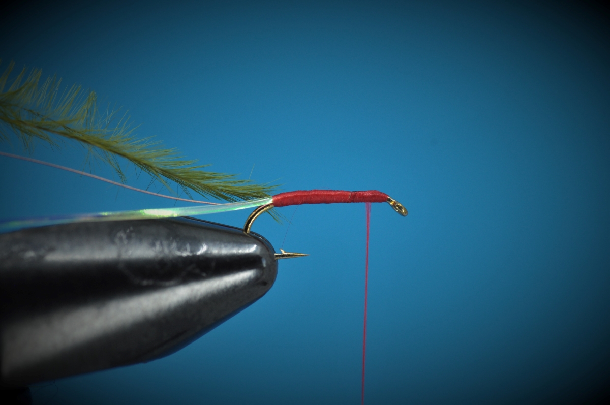 Ray Charles Nymph Step-by-Step - The Fat Fingered Fly Tyer