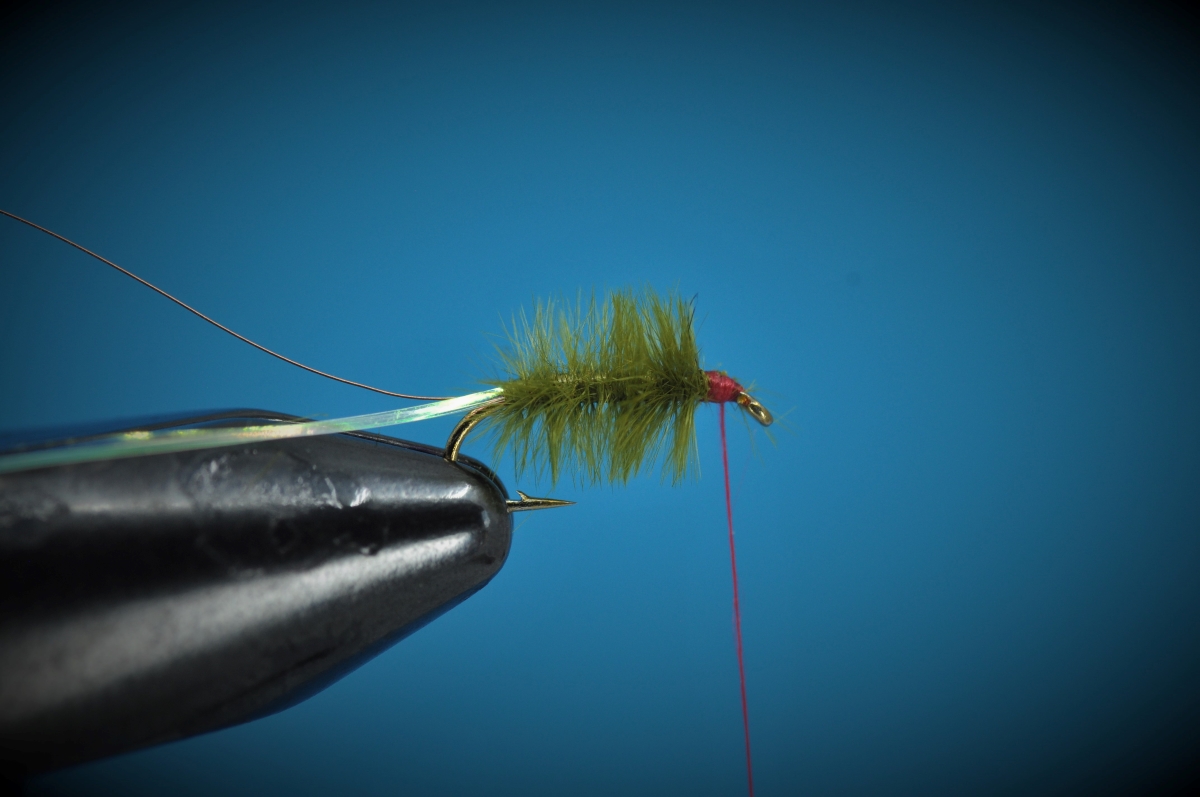 Ray Charles Nymph Step-by-Step - The Fat Fingered Fly Tyer